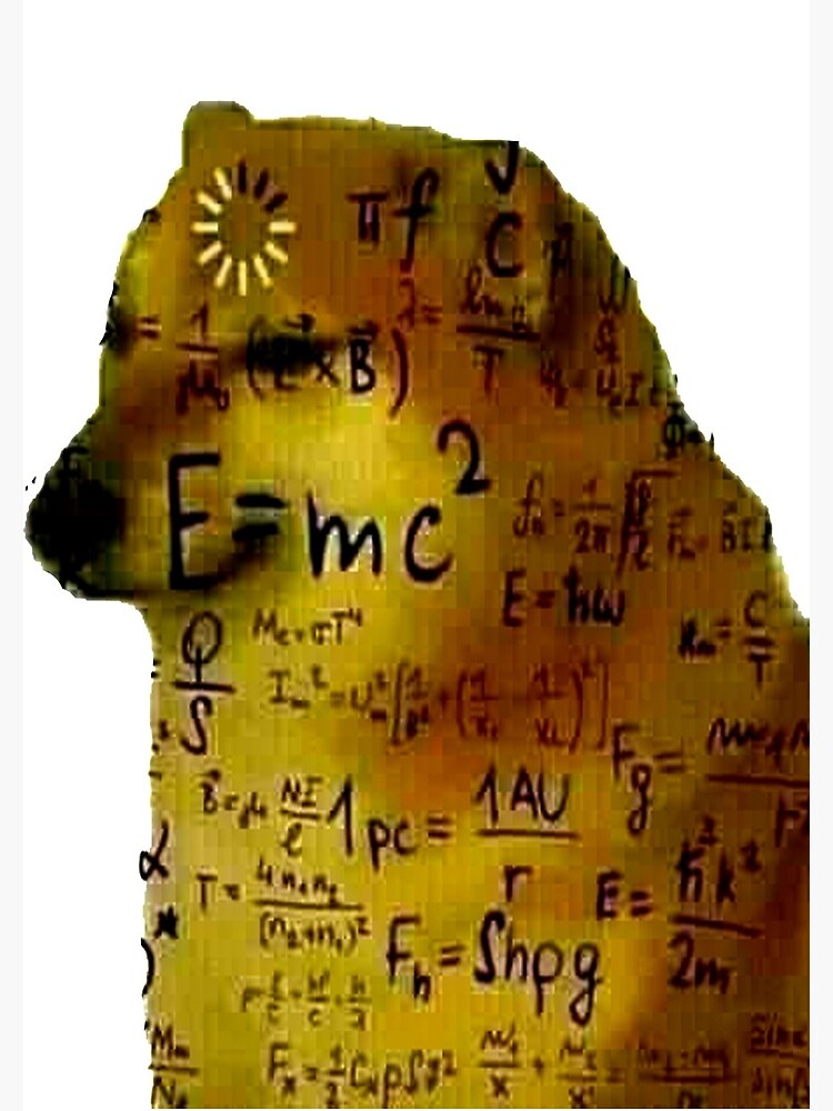 Cuaderno for Sale con la obra «doge error matemáticas» de Han Zo ...