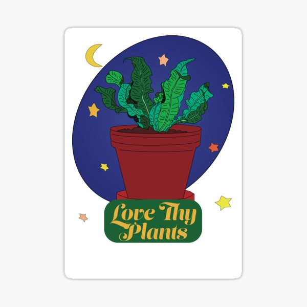 "Birds Nest Fern: Love Thy Plants" Sticker for Sale by jbdavis96 ...