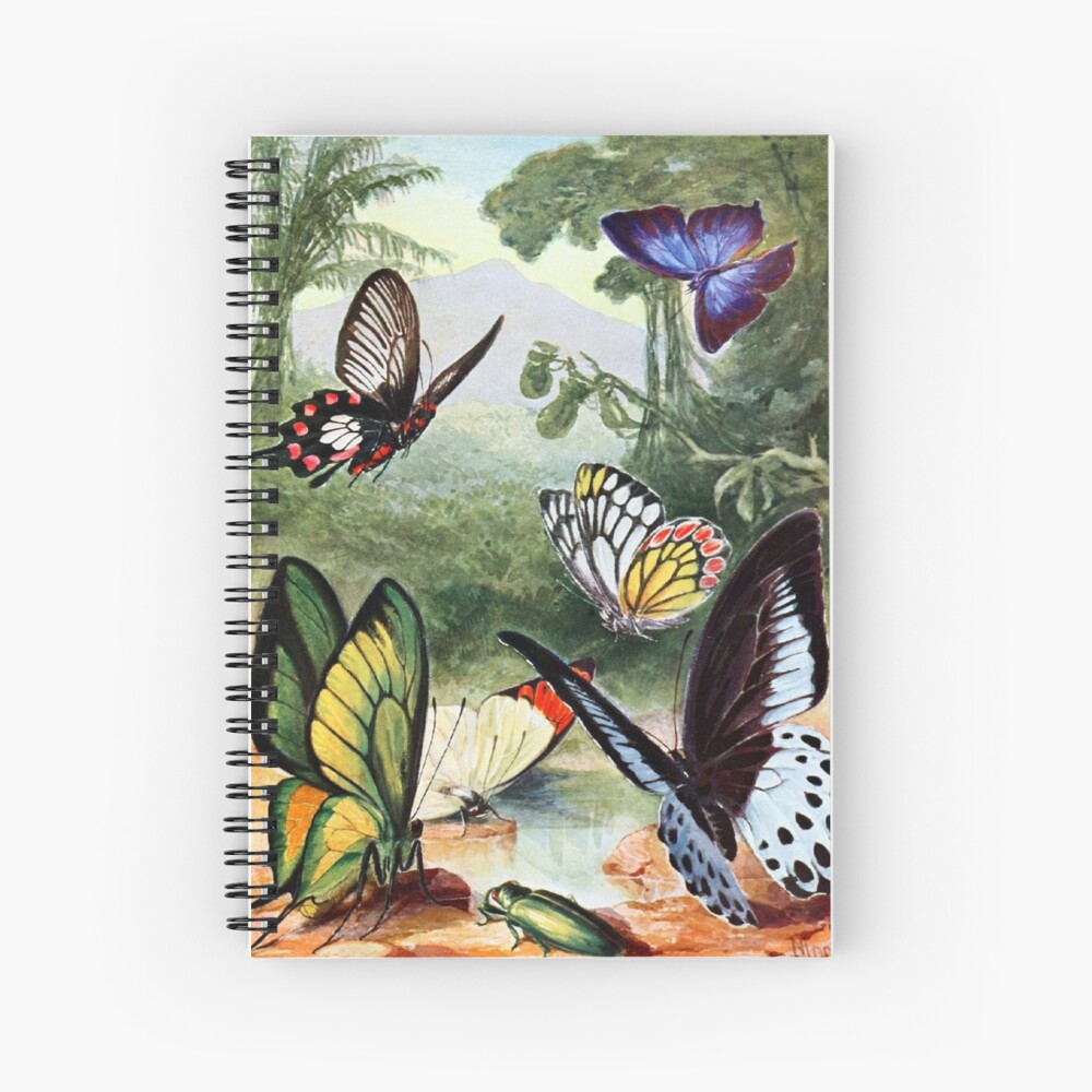"Vintage Butterflies " Spiral Notebook for Sale by hashnan21 | Redbubble
