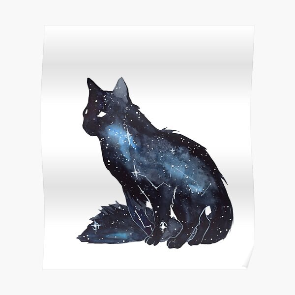 "Galaxy Cat" Poster for Sale by Threeleaves | Redbubble