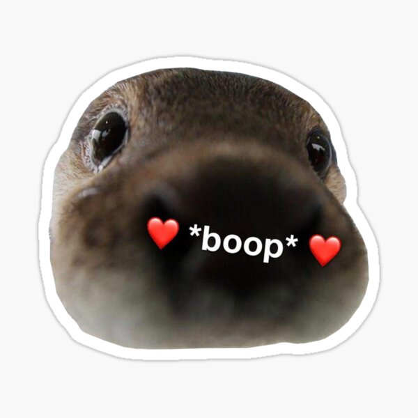 "Boop Wholesome Meme" Sticker for Sale by putonmemes | Redbubble