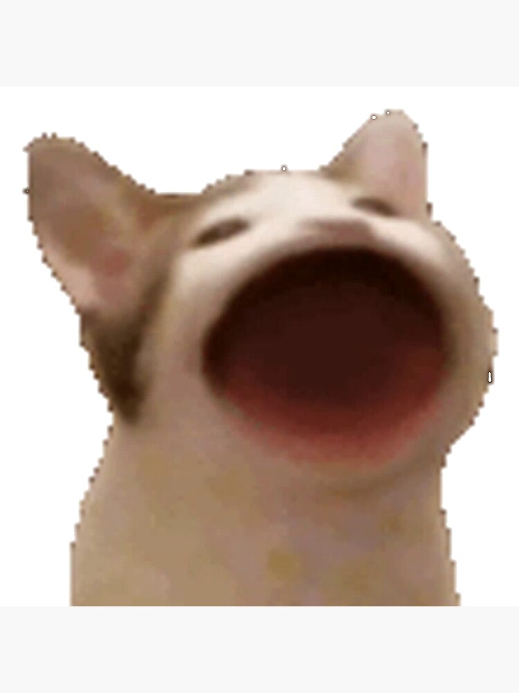 "pop cat (open mouth)" Poster for Sale by xavirav | Redbubble