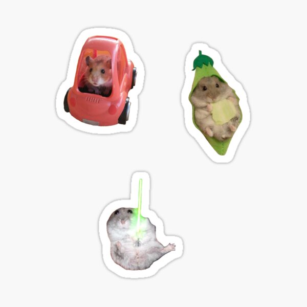 "Hamster Meme Sticker Pack" Sticker for Sale by juliaj1207 | Redbubble