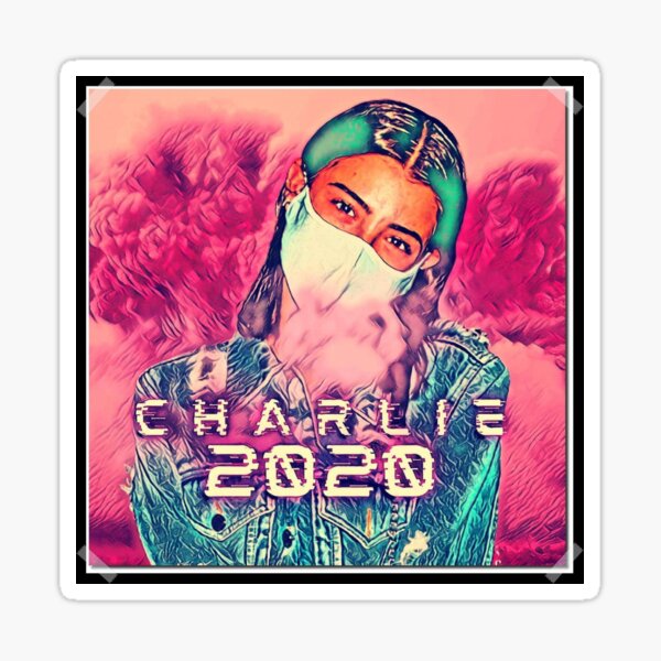 " Charlie 2020 Vintage" Sticker for Sale by Kadeda | Redbubble