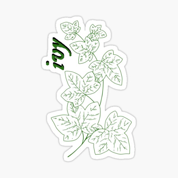 "ivy" Sticker for Sale by crownyart | Redbubble