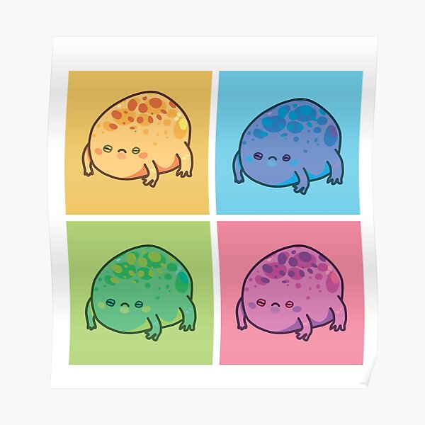 "Colourful Angry Desert Rain Frog" Poster for Sale by jubfrog | Redbubble