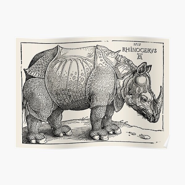 Póster «Albrecht Durer Rinoceronte Rhinoceros 1515 tinta de grabado en ...