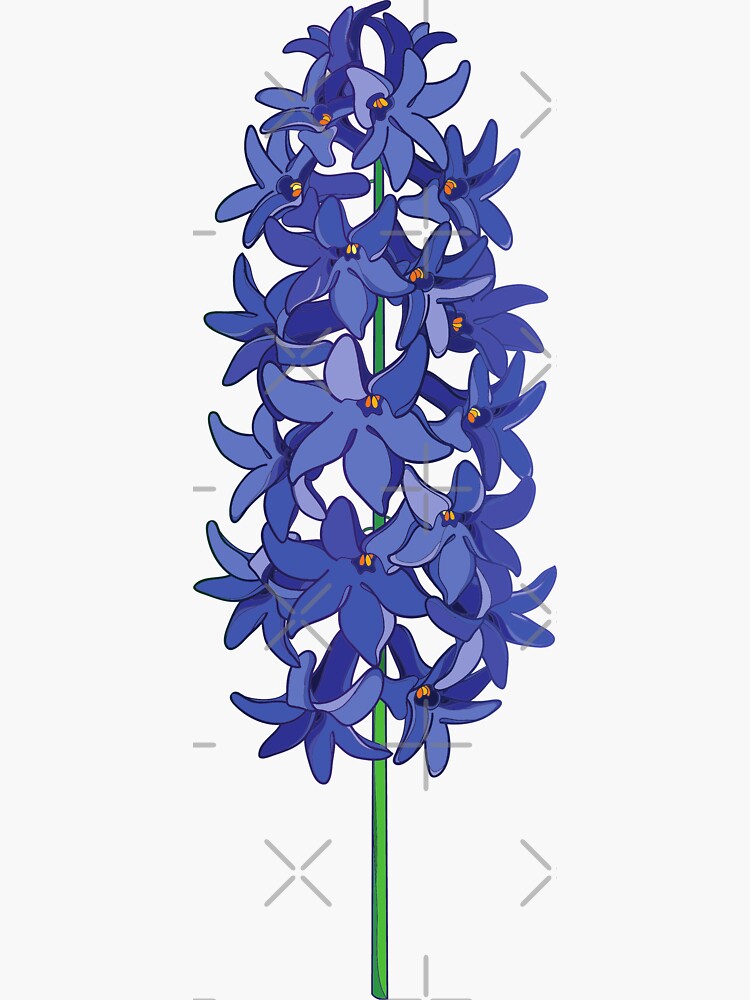 " purple hyacinth" Sticker by Martin-bivert | Redbubble