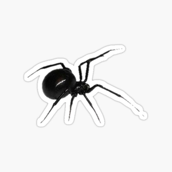"Black Spider" Sticker by allthestickerzz | Redbubble