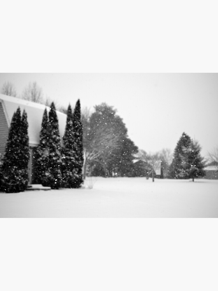 "Snow Daze" Poster by paulzehnder | Redbubble