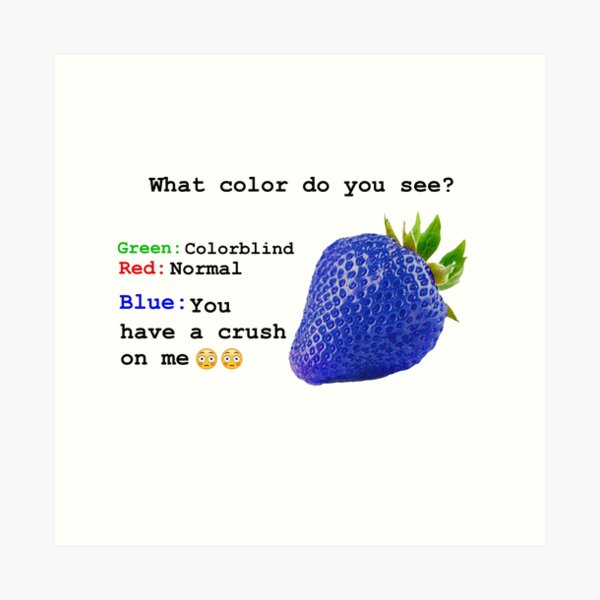 "Colorblind test meme" Art Print by NBreezii | Redbubble