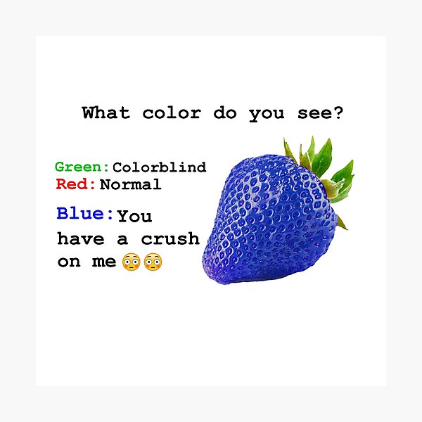 "Colorblind test meme" Photographic Print for Sale by NBreezii | Redbubble