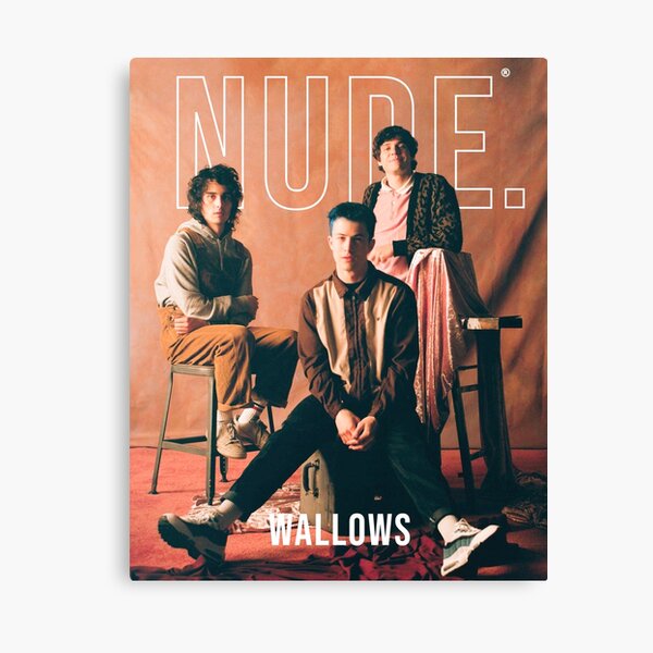 Wallows Album Canvas Prints | Redbubble