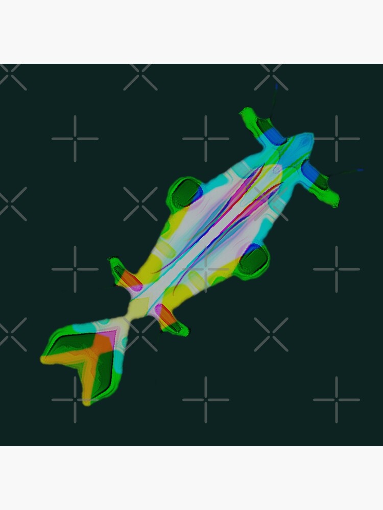 Póster « Tiburón marino gato pescador de color de agua azul turquesa» de PrimeScripts | Redbubble