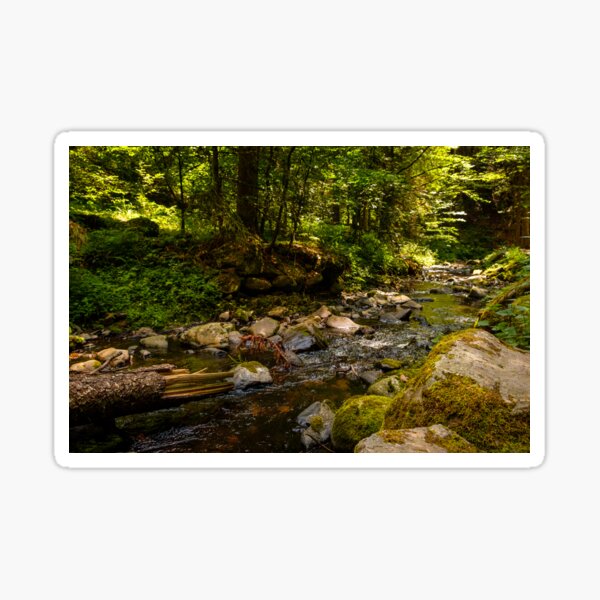 "Ravenna river in the Black Forest, Germany" Sticker for Sale by ...