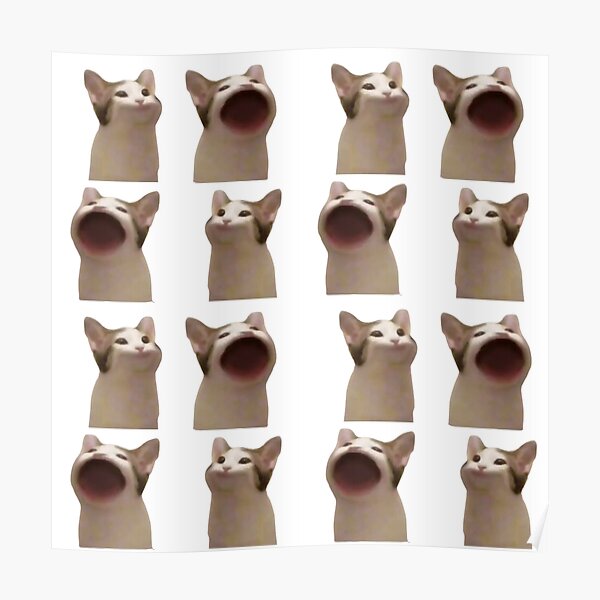 Pog Cat Posters | Redbubble