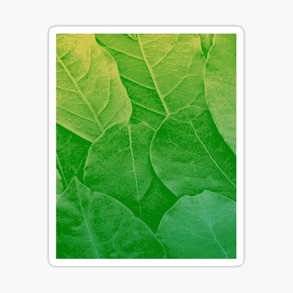 "Simply Basil" Sticker by sidneyjvn | Redbubble