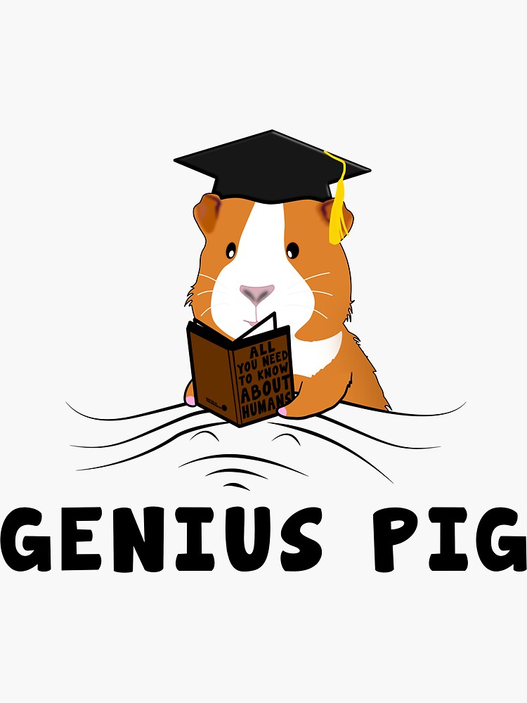 "Genius Pig A Super Sweet Guinea Pig With A Graduate Hat Reading A Book ...