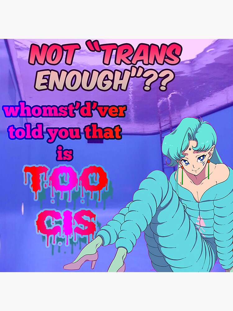 "Trans Meme" Sticker by Robin- | Redbubble