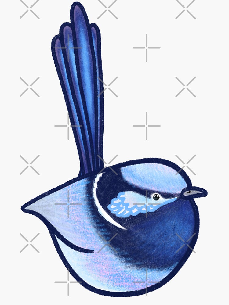 "Superb Fairy Wren" Sticker for Sale by nicebutton | Redbubble