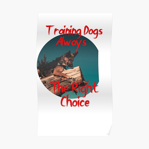 "the better way to start the dog training" Poster by soliman1992 ...