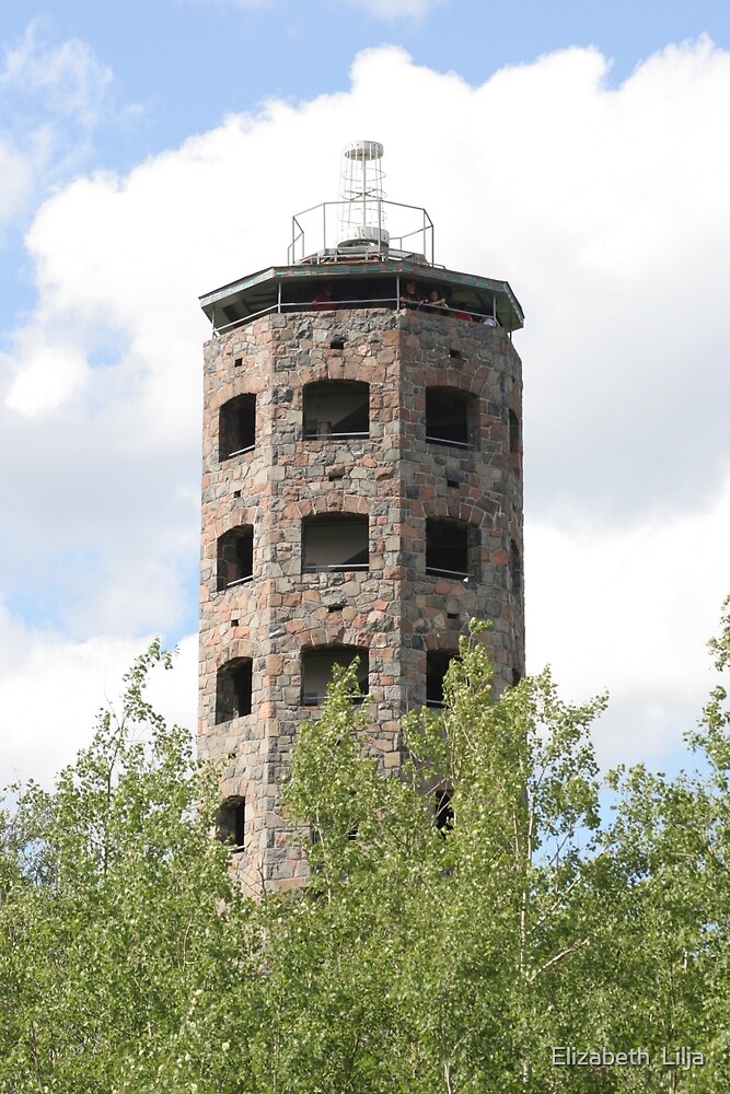 "Enger Tower" by Elizabeth Lilja | Redbubble