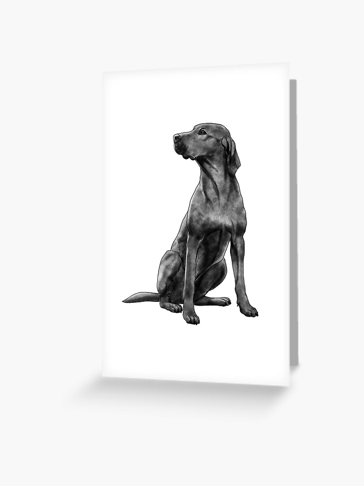 "Sitting Rhodesian Ridgeback Dog" Greeting Card by alwe-designs | Redbubble