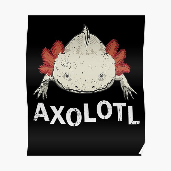 Póster «Salamandra Ajolote Monstruo De Agua Neotenia Urzeeit» de Stndor ...