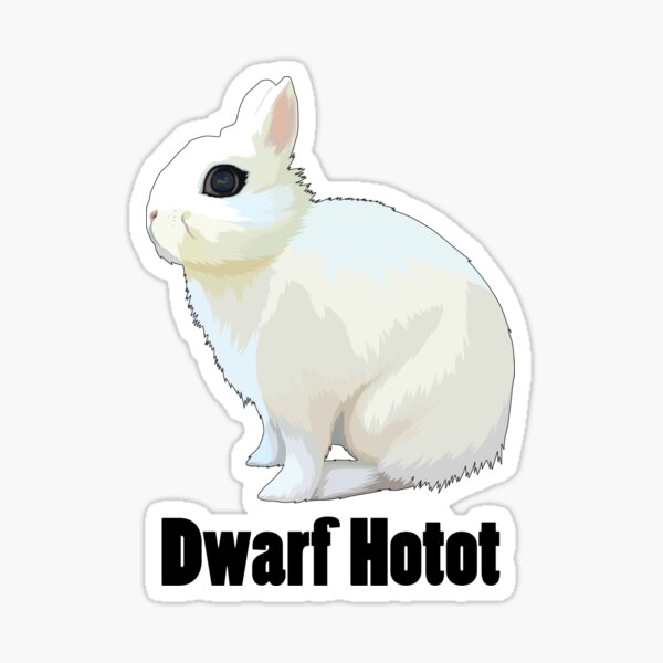 "Dwarf hotot rabbit" Sticker by joyfuldesigns55 | Redbubble