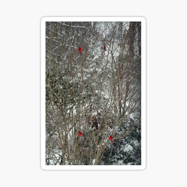 "Full house" Sticker for Sale by WalnutHill | Redbubble