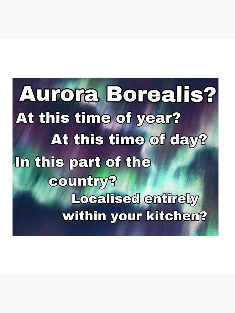 "The Simpsons Steamed Hams Aurora Borealis Chalmers Quote" Metal Print ...