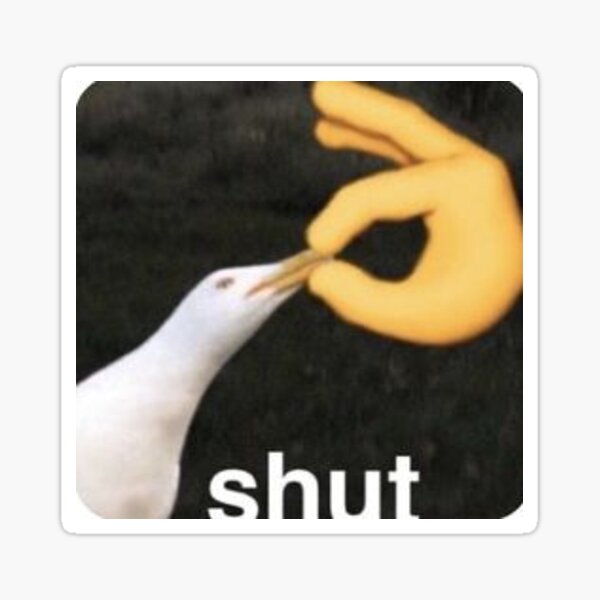"bird meme" Sticker by imamsosorry | Redbubble