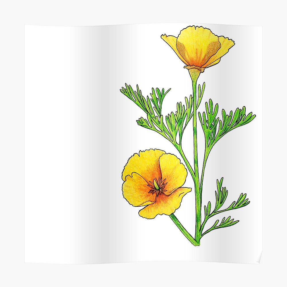 Art & Collectibles Wood & Linocut Prints California Poppy Linocut Print ...