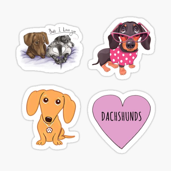 VSCO Sticker Pack Water Bottle Stickers 50 / 25 Pack Dachshund Stickers ...