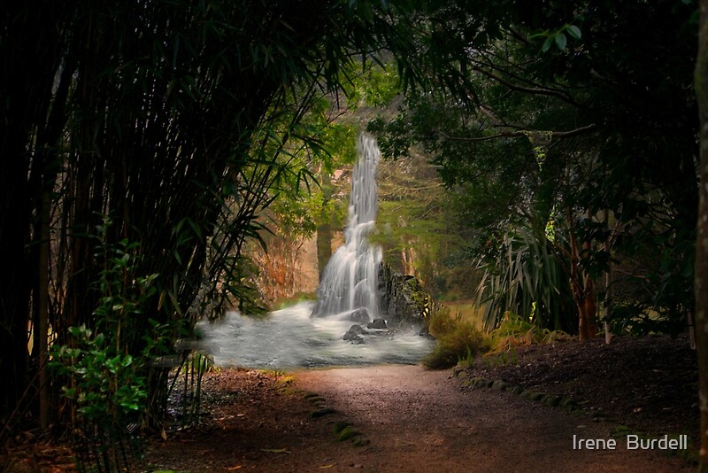 "The Waterfall" by Irene Burdell | Redbubble