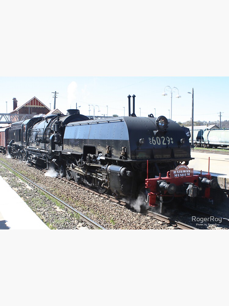 "NSWGR 6029 Steam Train" Sticker for Sale by RogerRoy | Redbubble