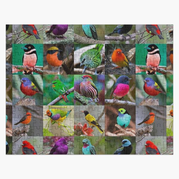 "BIRDS IN ACTION " Jigsaw Puzzle by johnnyssandart | Redbubble