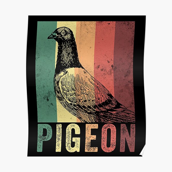 "Bird Pigeon Breeder Gift Pigeon Racing Pigeon" Poster for Sale by ...