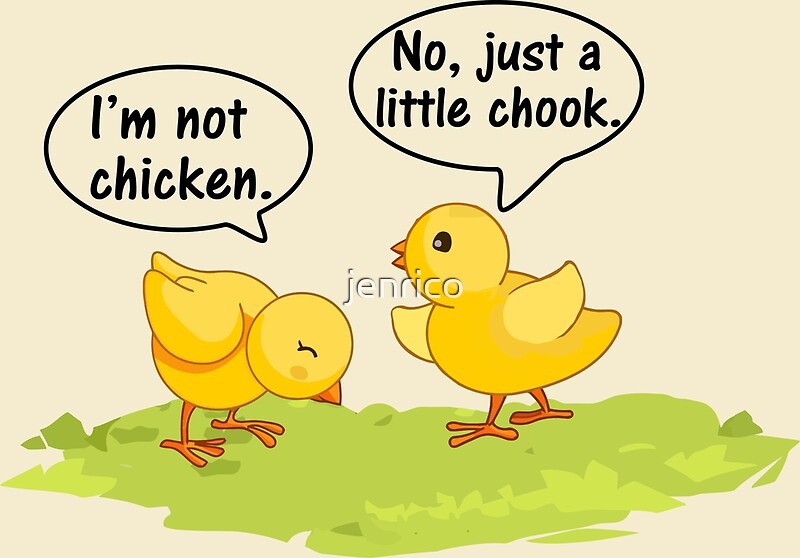 "Chicken or Chook" by jenrico | Redbubble