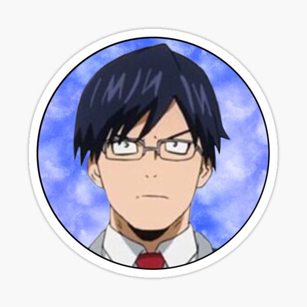 "Iida Icon" Sticker for Sale by echohicks1117 | Redbubble