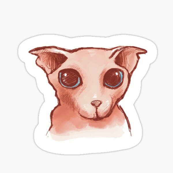 Beloved Bingus Gifts & Merchandise | Redbubble