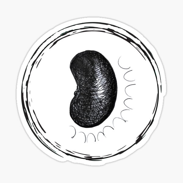 "Magic Bean" Sticker for Sale by boykinart | Redbubble