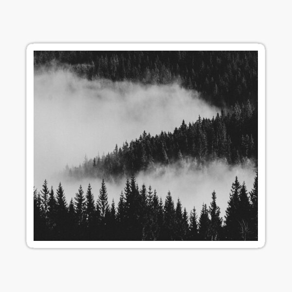 "Awesome view of Pine Trees and Dense Fog" Sticker for Sale by ...