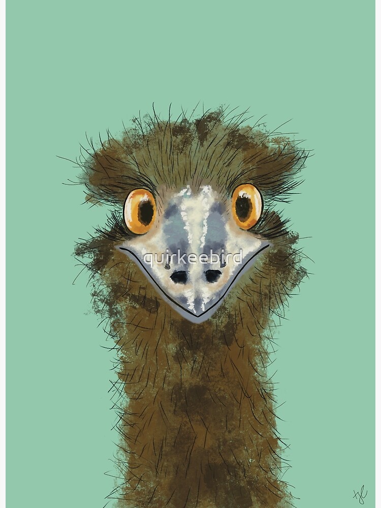 "Edward the Emu" Poster by quirkeebird | Redbubble