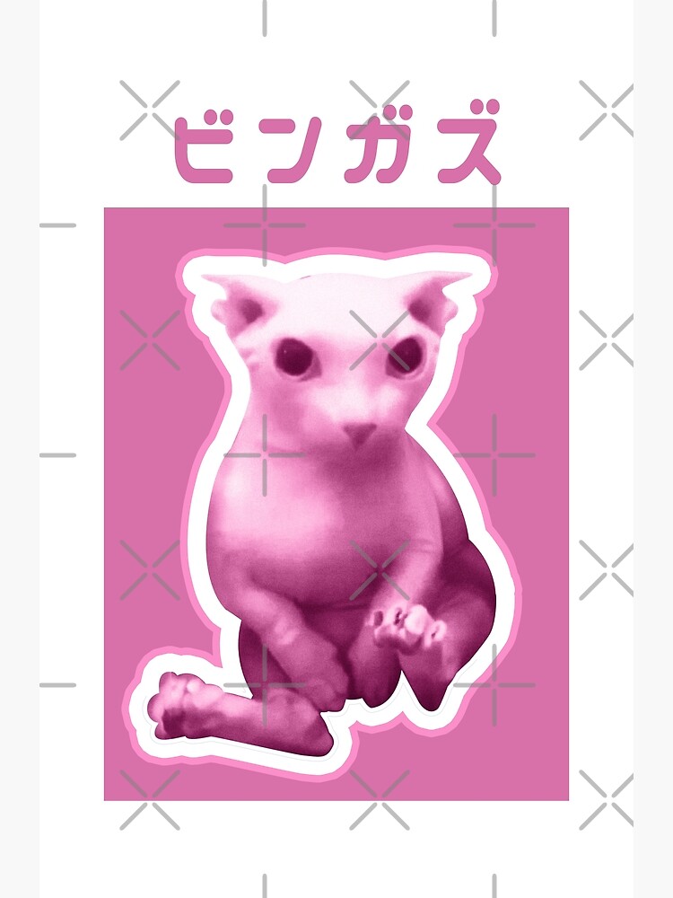 Póster «Bingus Cat Kawaii en blanco» de Rzera- | Redbubble