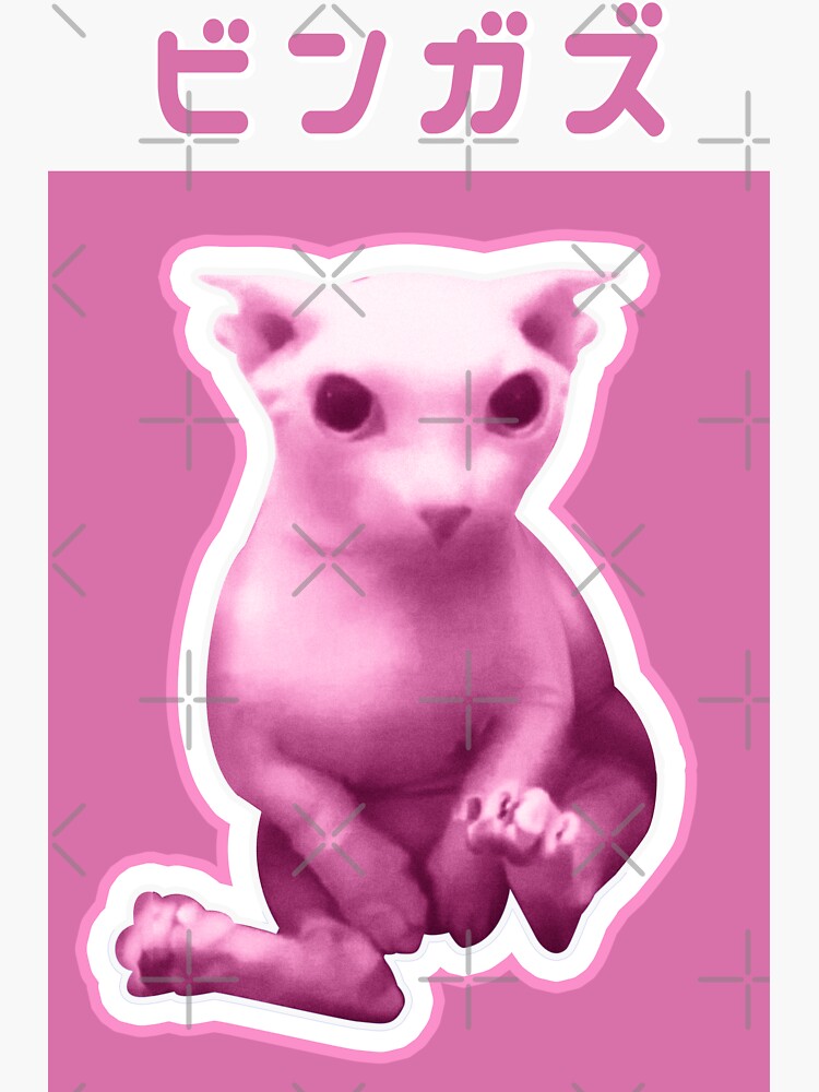 "Bingus Cat Kawaii on White" Sticker for Sale by Rzera- | Redbubble