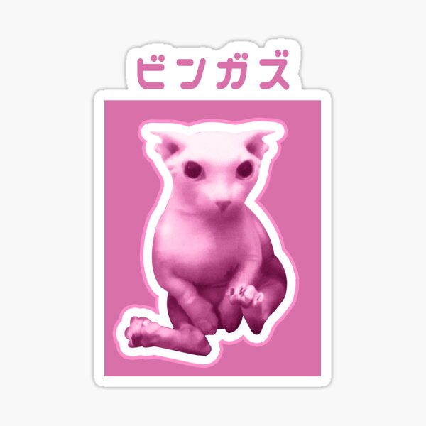 "Bingus Cat Kawaii on White" Sticker for Sale by Rzera- | Redbubble