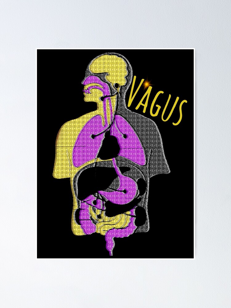 "VAGUS NERVE" Poster by GeiekSheiek | Redbubble