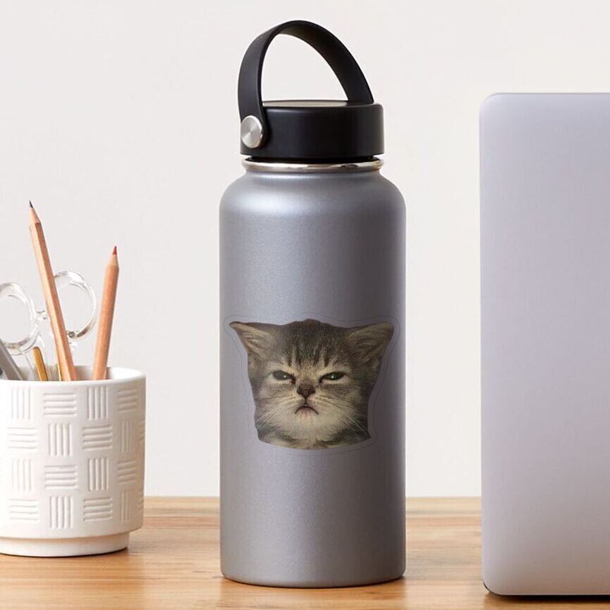 "Angry Cute Cat" Sticker for Sale by SVarts | Redbubble