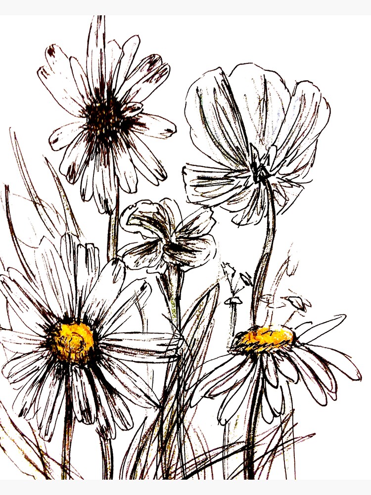 "Delicate Ink Daisy Drawing" Sticker for Sale by MixedManatee | Redbubble